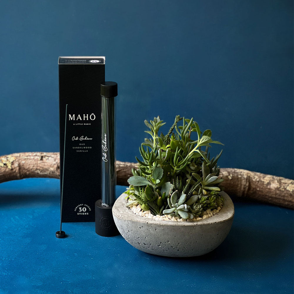 Poppies and Amber | Manly Florist and Homeware – Poppies & Amber