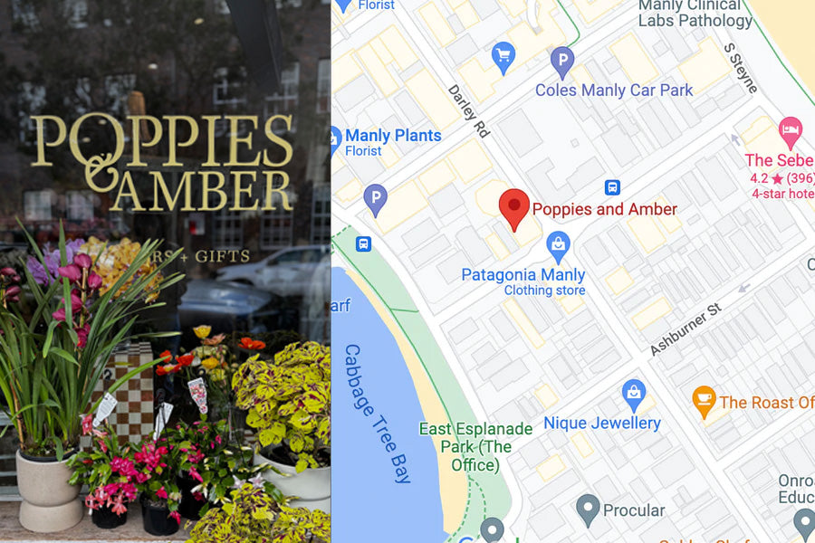 Poppies and Amber | Manly Florist and Homeware – Poppies & Amber